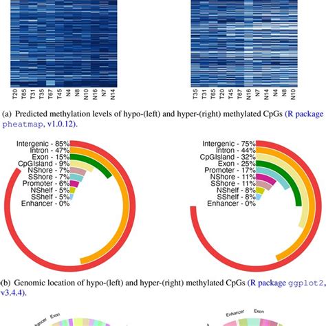 Genomic Location Of Identified Differentially Methylated Cpgs And Their