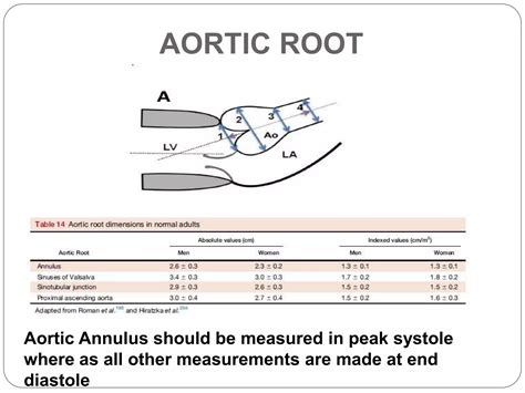 Basics Of Echo Cardiac Structure Chamber Quantifications And Artifacts Pptx