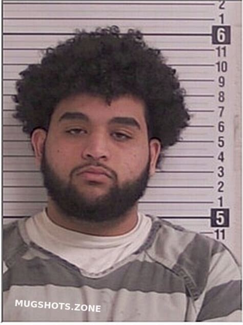 Ismail Youssef Moustafa 01072024 Bay County Mugshots Zone