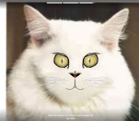 draw the catface challenge by nicromizer on deviantart