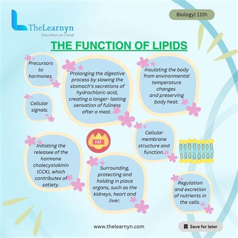 Thelearnyn On Instagram Unlocking The Marvels Of Lipids A Journey