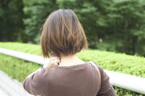 Huggingfaceのtransformersを使って、日本語の文章変換をしてみた│techネタのペン太ブルblog