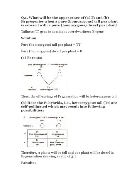 Dihybrid And Monohybrid Cross Analysis Pdf Zygosity Genotype