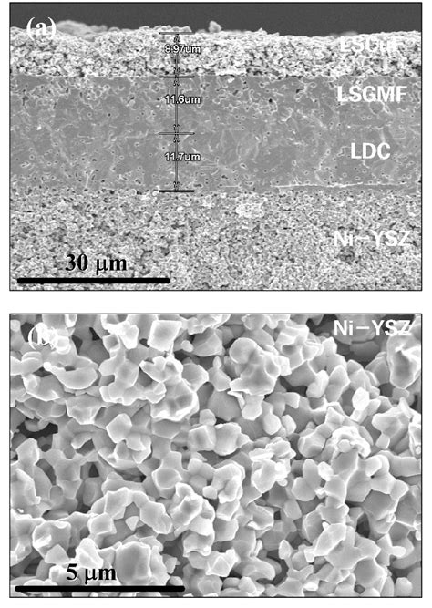 Sem Micrographs Of The Cross Sectional Surface Of The Download