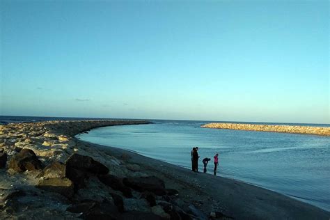 Rawda Rawda Gamal Insearch Pk