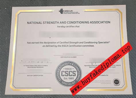 Buy A Cscs Nsca Certificate Order A Cscs Certificate Buy Diploma Onlinebuy Degree And