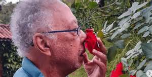 Cantor Jards Macalé Morre Aos 82 Anos Dci