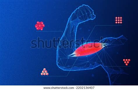 Muscle Tissue Engineering Concept Combined Use Stock Illustration