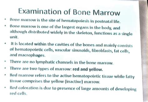 Examination Of Bone Marrow Pdf