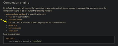 coc issues r spacevim