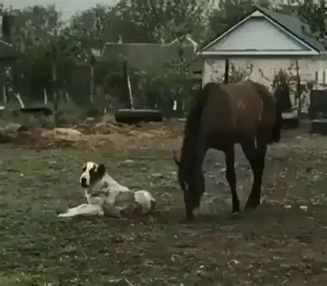 Aundre Monger Posted On Linkedin