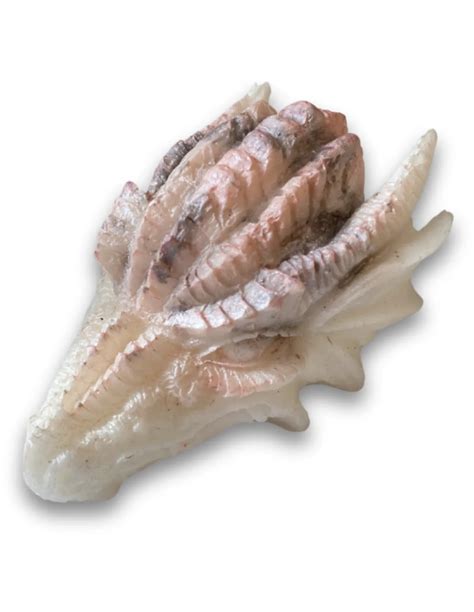 Orgonite Drakenschedel Roze Ruben Robijn