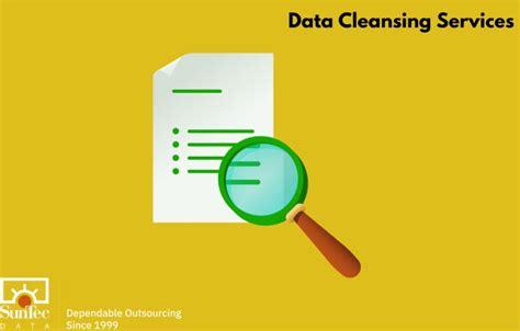 datacleansing dataquality suntecdata suntecdata
