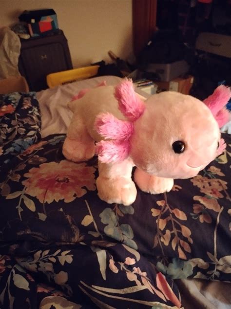 Hello His Name Is Ralph R Autisticpride