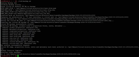How To Schedule Automatic Backup For Vmware Cloud Director Mohamed