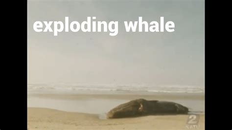 Exploding Whale 