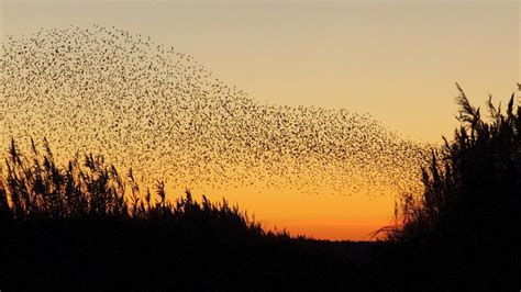 Openstack Brings Open Source To The Edge With Starlingx News Telecomtv