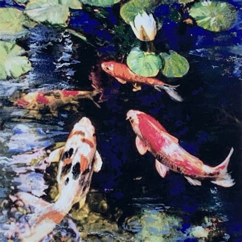 Gathering Alakoko Shop