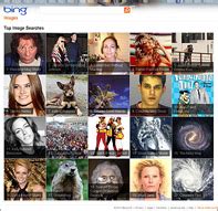 Bildersuche News Bing Startseite Tineye Brötchen Universal Search