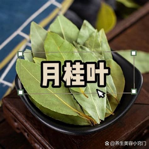 月桂叶功效多🍀