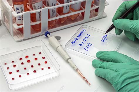 sars cov 2 variant research conceptual image stock image f036 3538