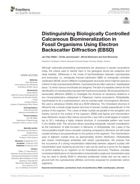Pdf Distinguishing Biologically Controlled Calcareous