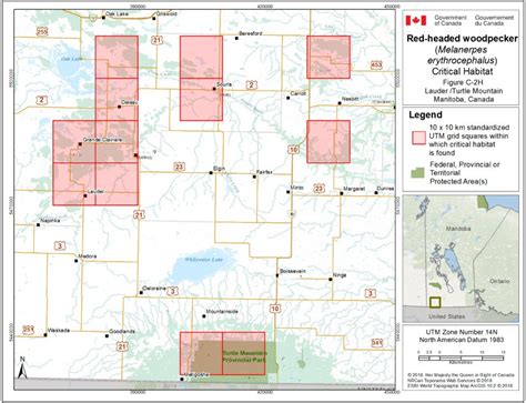Red Headed Woodpecker Recovery Strategy Ontarioca Red Headed Woodpecker Recovery Strategy Ontarioca