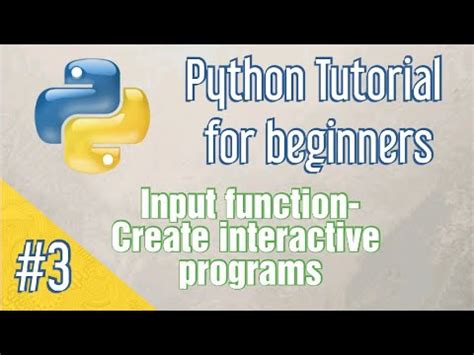 Input Function Python Tutorial For Beginners YouTube