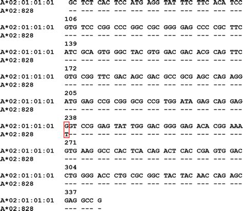 the alignment of nucleotide of exon 2 of hla‐a 02 828 allele and