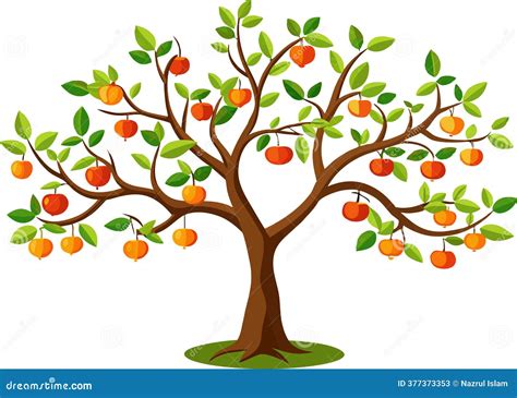 Clean And Detailed Line Art Of Pineapple Cutted Slice Outline Piece Of