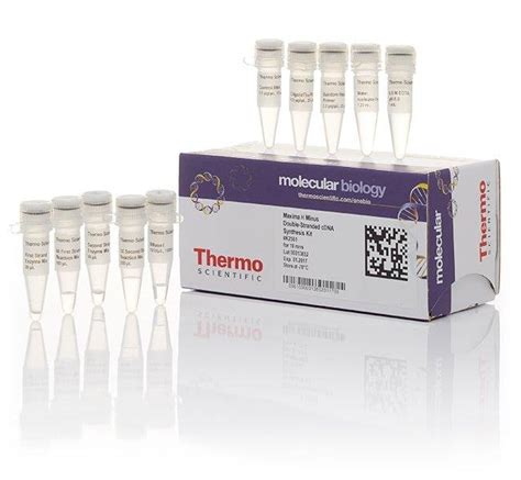 Thermo Scientific Maxima H Minus Double Stranded Cdna Synthesis Kit 10