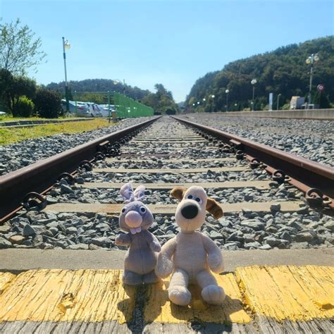 여행가요~ 콜리colley