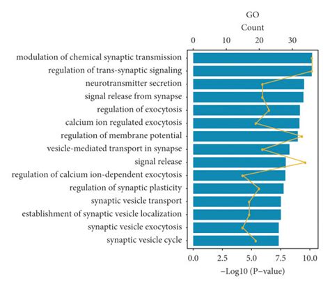 Functional Analysis Of Prognostic Models A Display Of Genes