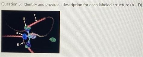 Solved Question Identify And Provide A Description For Chegg