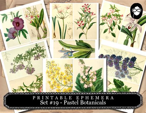 Ephemera Pack Printable Ephemera Set 19 Pastel Botanicals 30 P