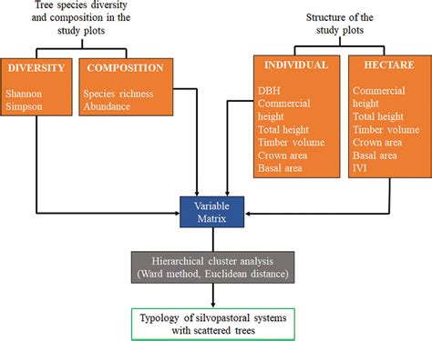 Conceptual Model Of Paddock System Typology Based On Tree Composition Download Scientific