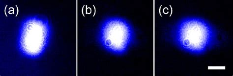 Color Online Spatial Beam Profile On A Logarithmic Intensity Scale At