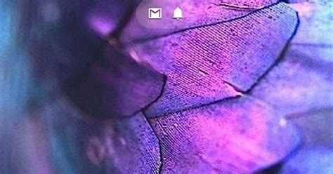 My Lockscreen Background Imgur