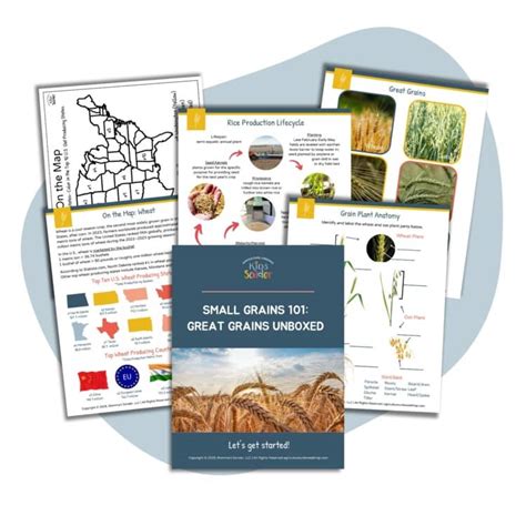Small Grains 101 Great Grains Unboxed By Agriculture Unboxed Shop