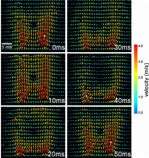partial instantaneous velocity vector maps acquired from an