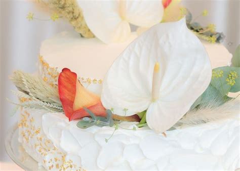 작지 않아도 괜찮아요 세련되고 귀여운 【작은 웨딩 케이크】 디자인 카탈로그 Marry