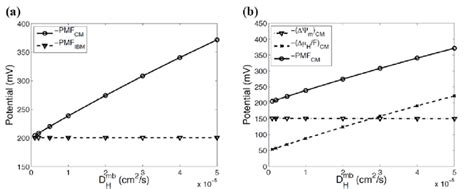 7 The Effect Of The Membrane Bound Proton Diffusion Coefficient D H