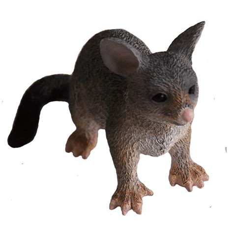 Possum Replica Small By Science And Nature
