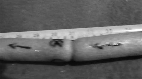 A Meter Long Snake Is Slowly Crawling Out Of My Asshole Cunt Gay Anal