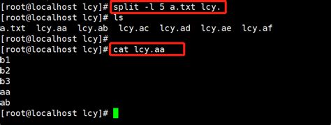 【linux】常用的文本处理命令详解 实例 ⭐实操常用，建议收藏！！⭐ Linux文本处理 Csdn博客
