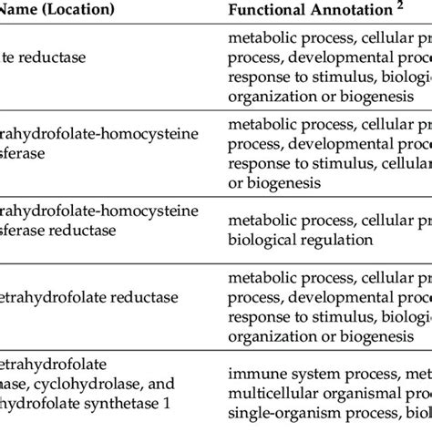 List And Information Of The Target Genes Download Scientific Diagram