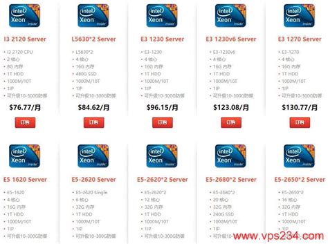 国外vps Raksmart 怎么样？raksmart 详细测评 Vps234主机测评