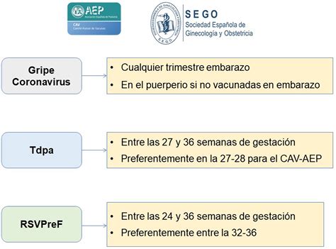 Vacunación En El Embarazo Documento De Consenso Del Cav Aep Y La Sego