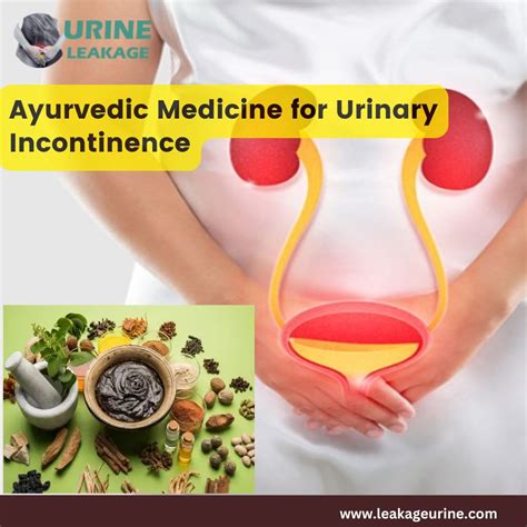 Ayurvedic Medicine For Urinary Incontinence