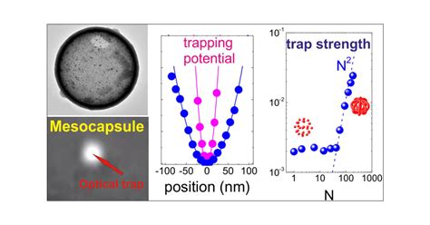 Optical Trapping Of Plasmonic Mesocapsules Enhanced Optical Forces And Sers The Journal Of